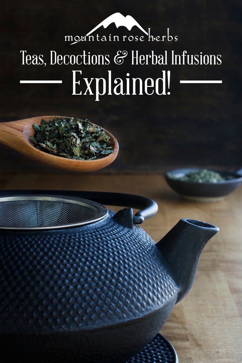 How to Make Herbal Infusions & Decoctions for Wellness Support