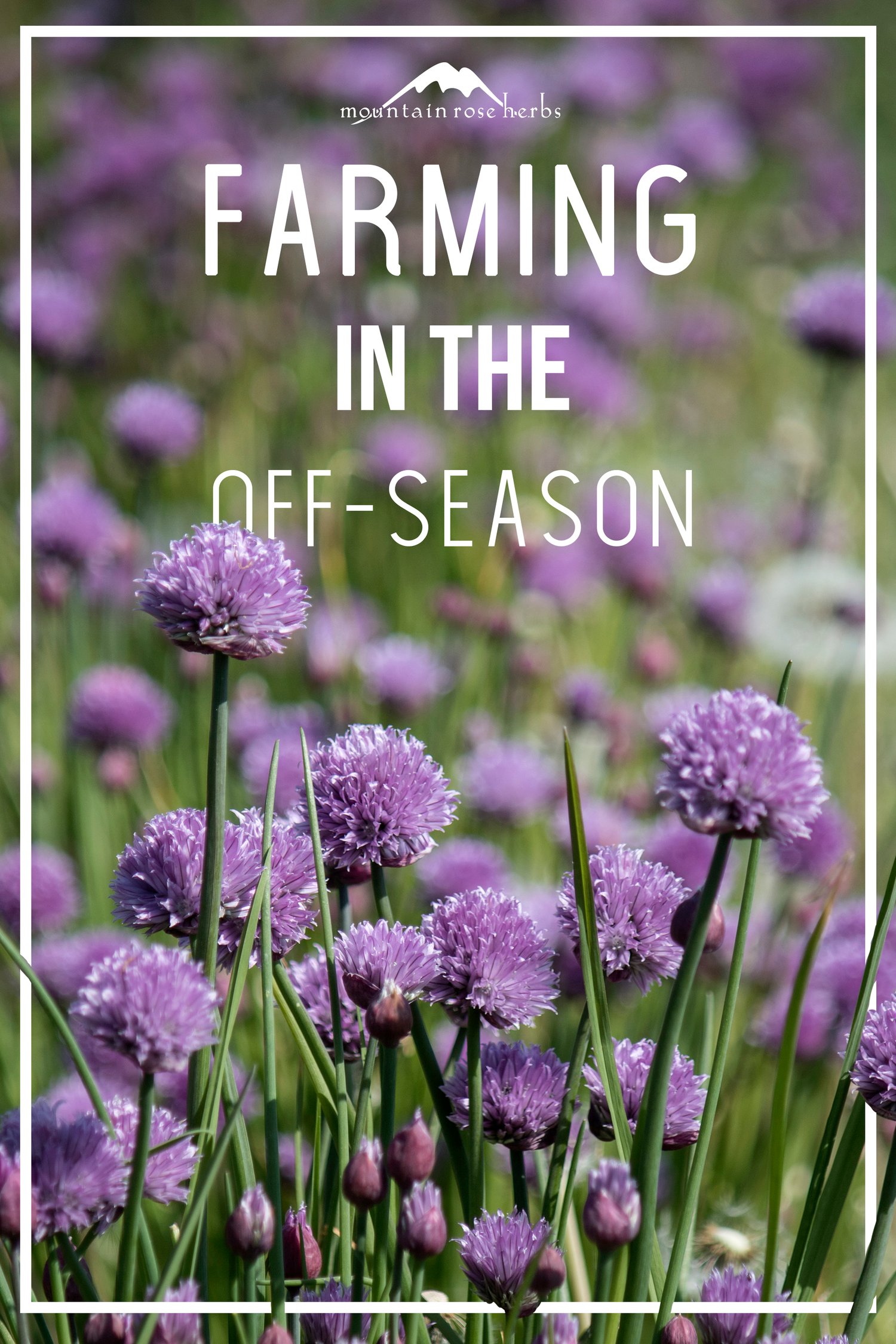 Organic Farming in the “Off Season”