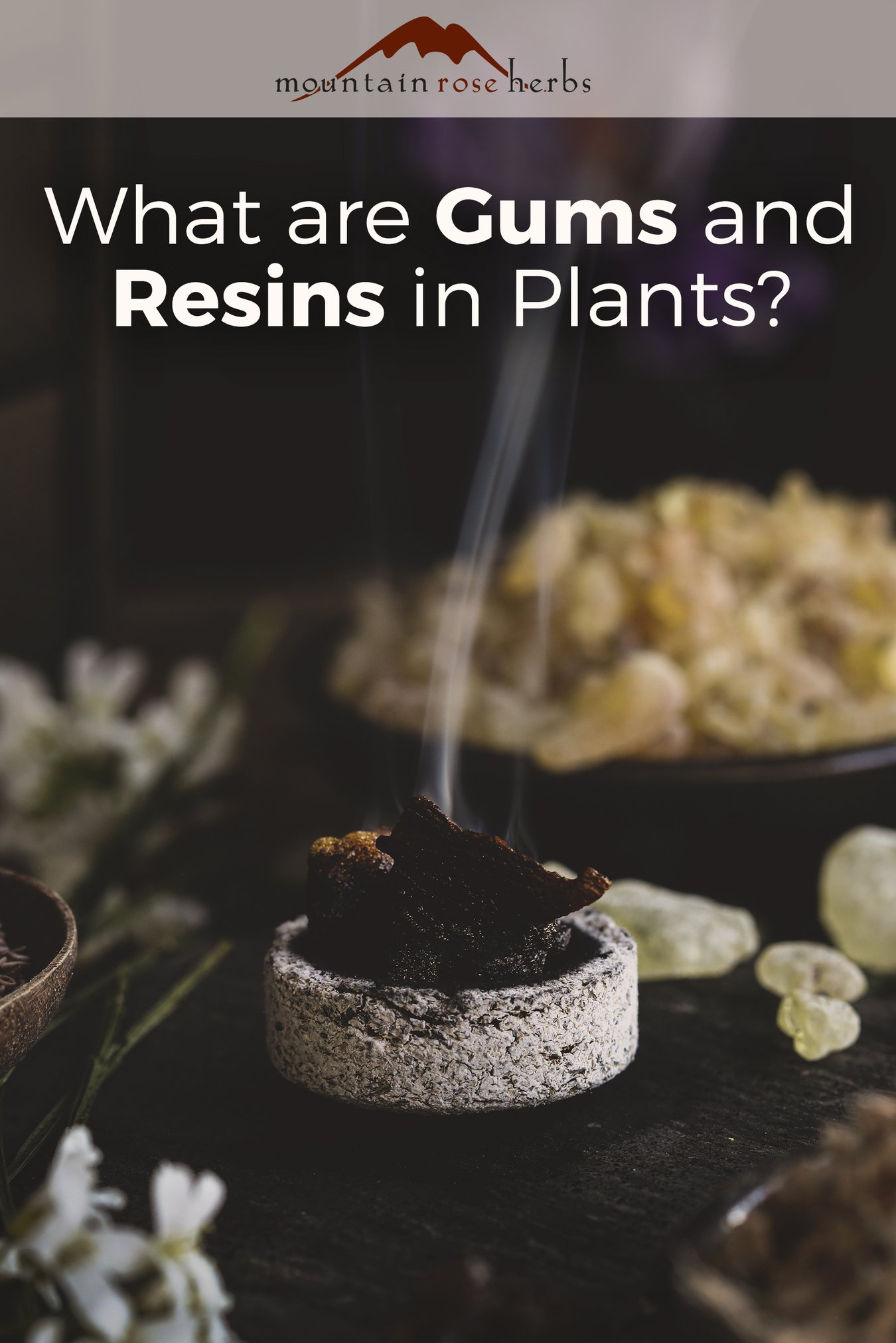 What are Resins and Gums in Plants?
