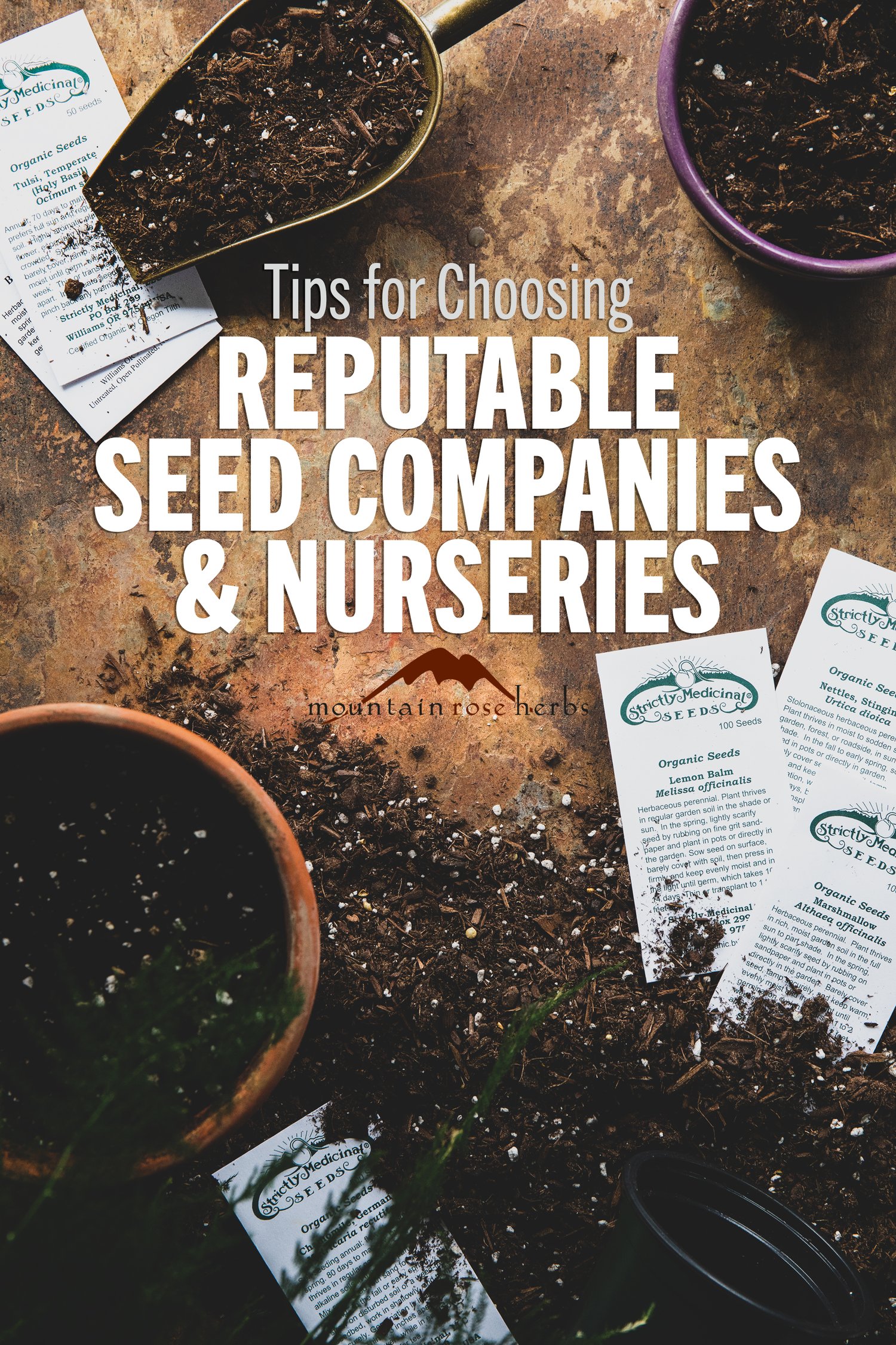 Tips for Choosing Reputable Seed Companies & Nurseries