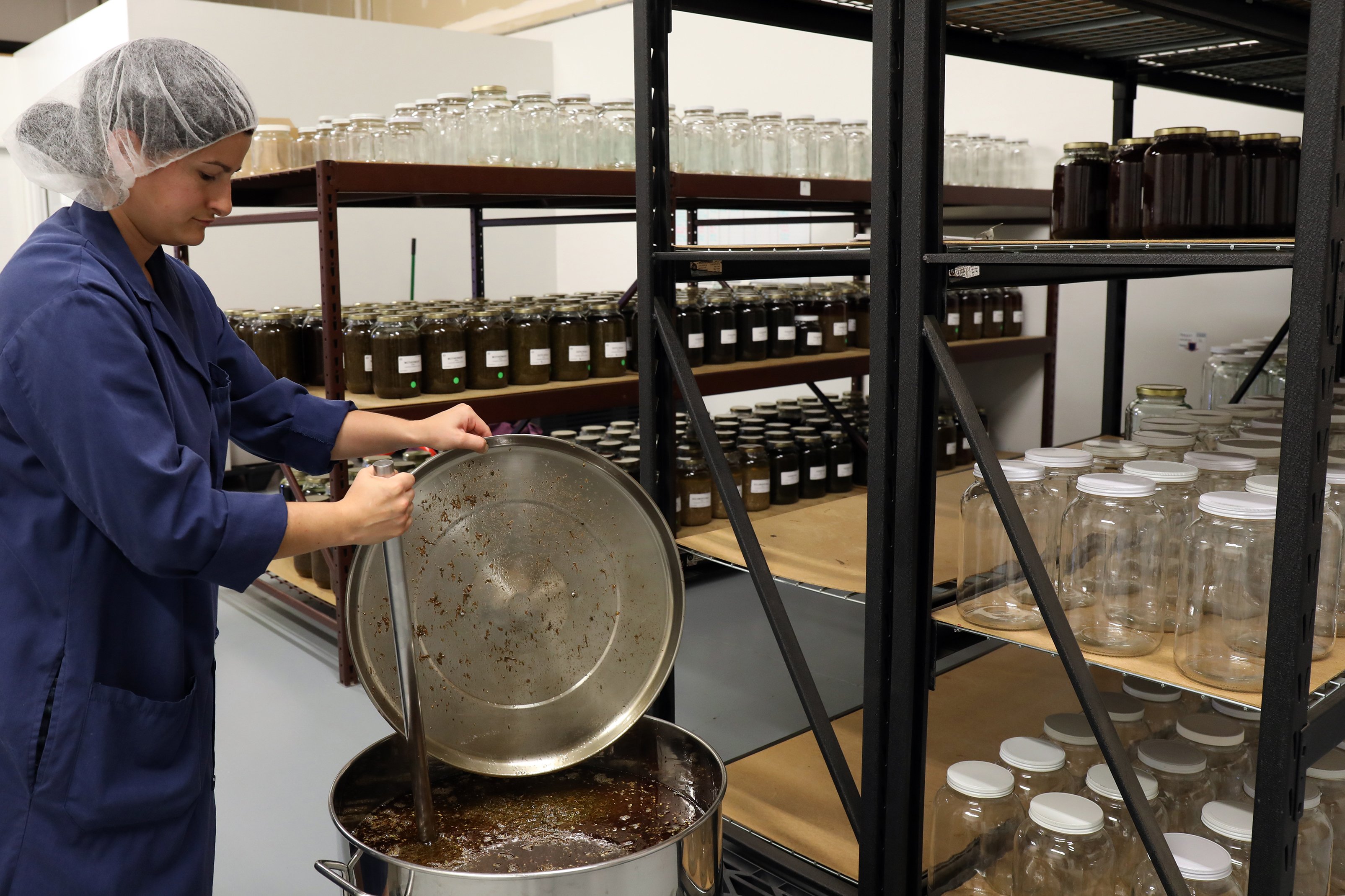 How We Handcraft Our Herbal Syrups & Elixirs + DIY Elderberry Rooty ...