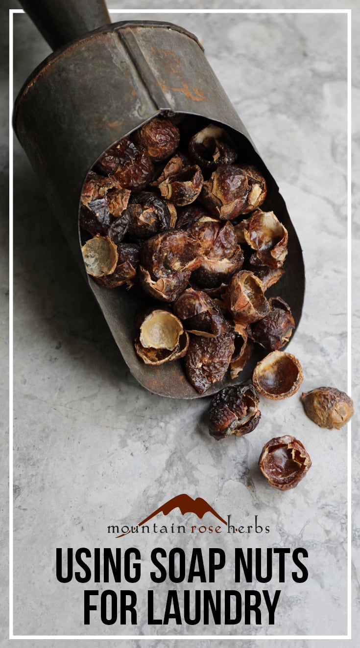 Soap Nuts: A Natural DIY Option for Your Laundry