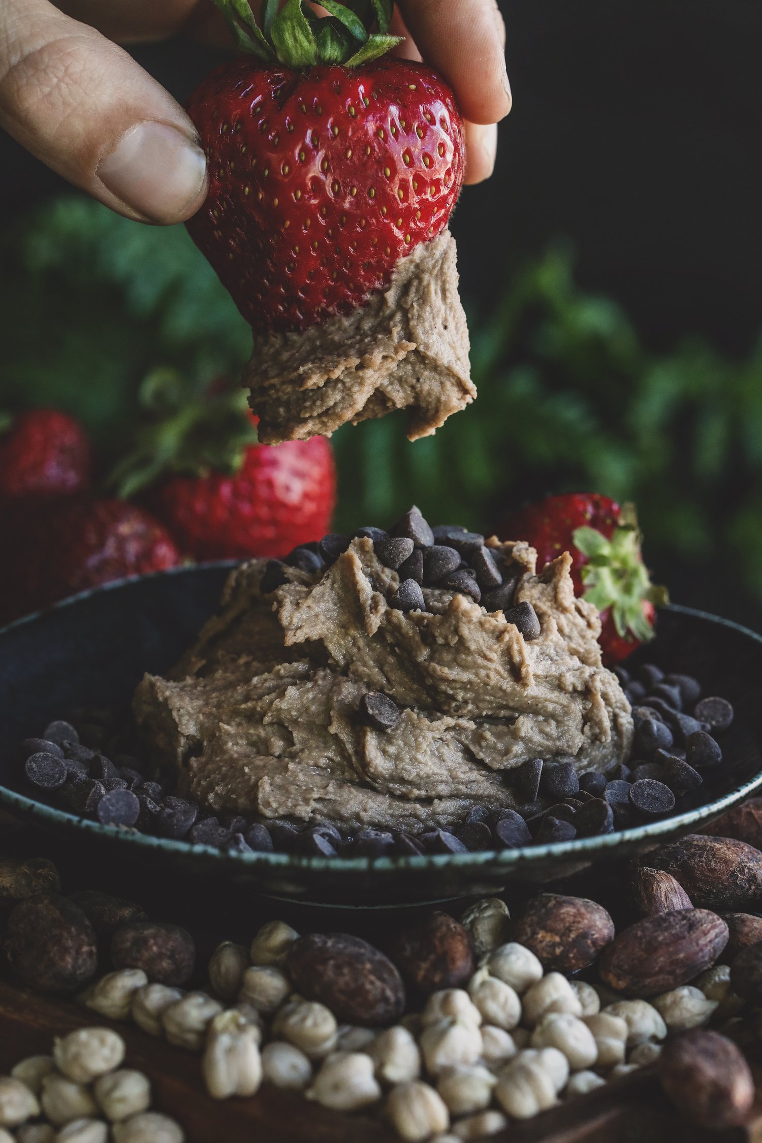 Sprouted Chocolate Dessert Hummus