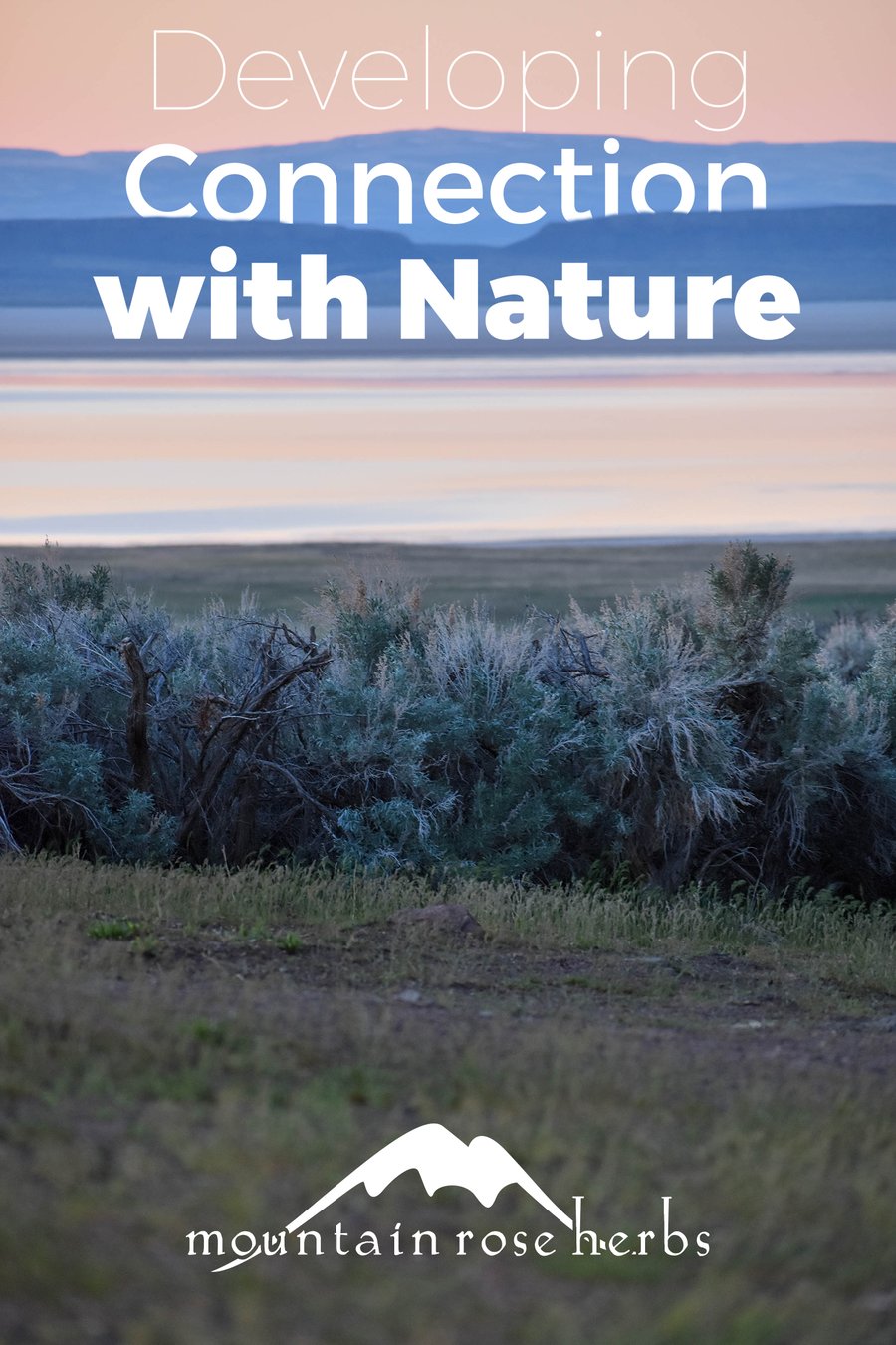 Awakening Our Relationship to Nature: The Need to Belong