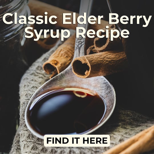 How to Make an Herbal Electuary