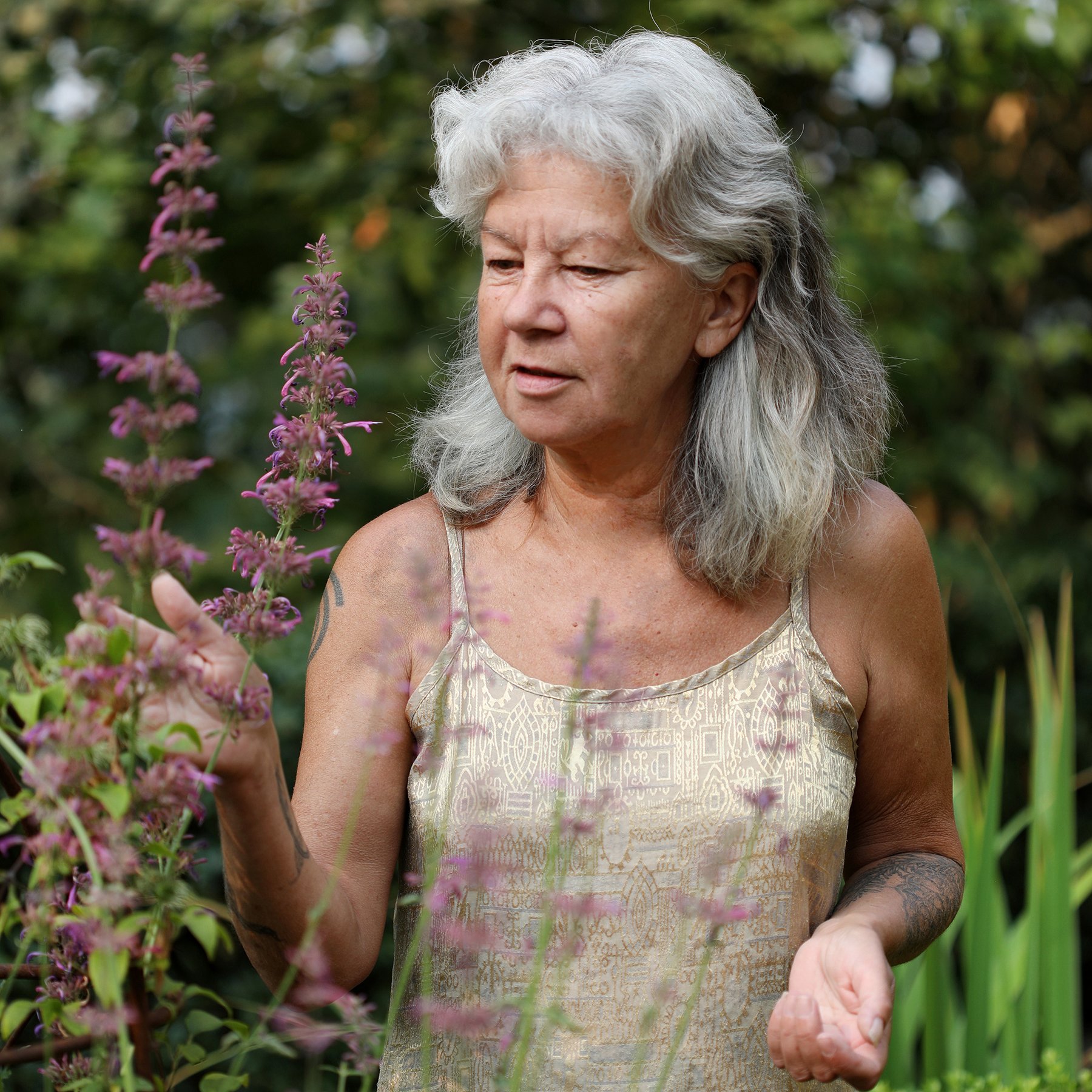 The Origins of Our Organic Herbal Tea Blends