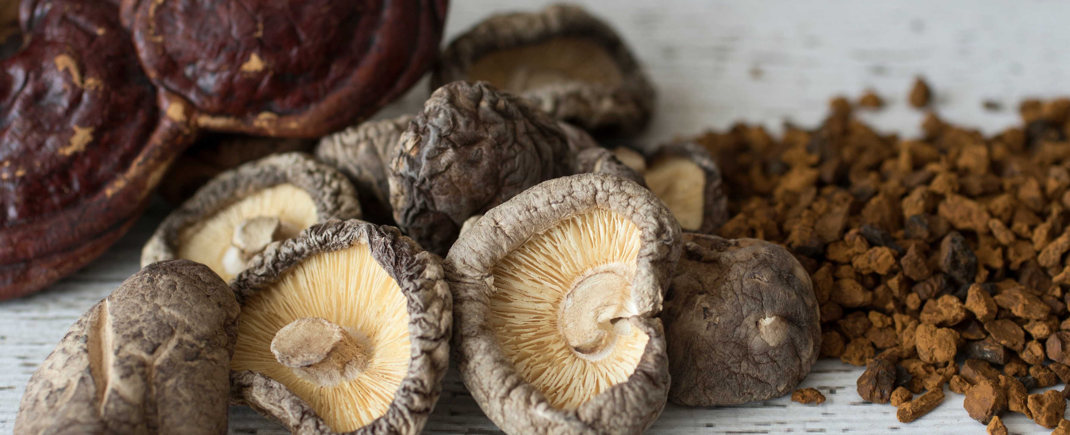 How to Make a Mushroom Double Extraction