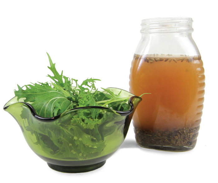 Four Thieves® Vinegar Recipe!